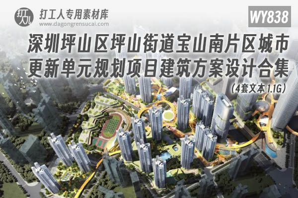 深圳清平古墟有机更新规划实施方案（114页，122M）【WY301】-打工人专用素材库